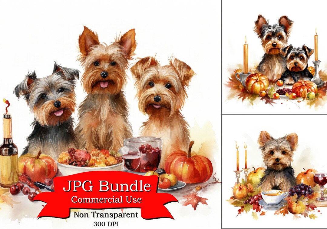 Cute Yorkshire Terrier Dog, Thanksgiving Themes, Family Dinner Scenes ...