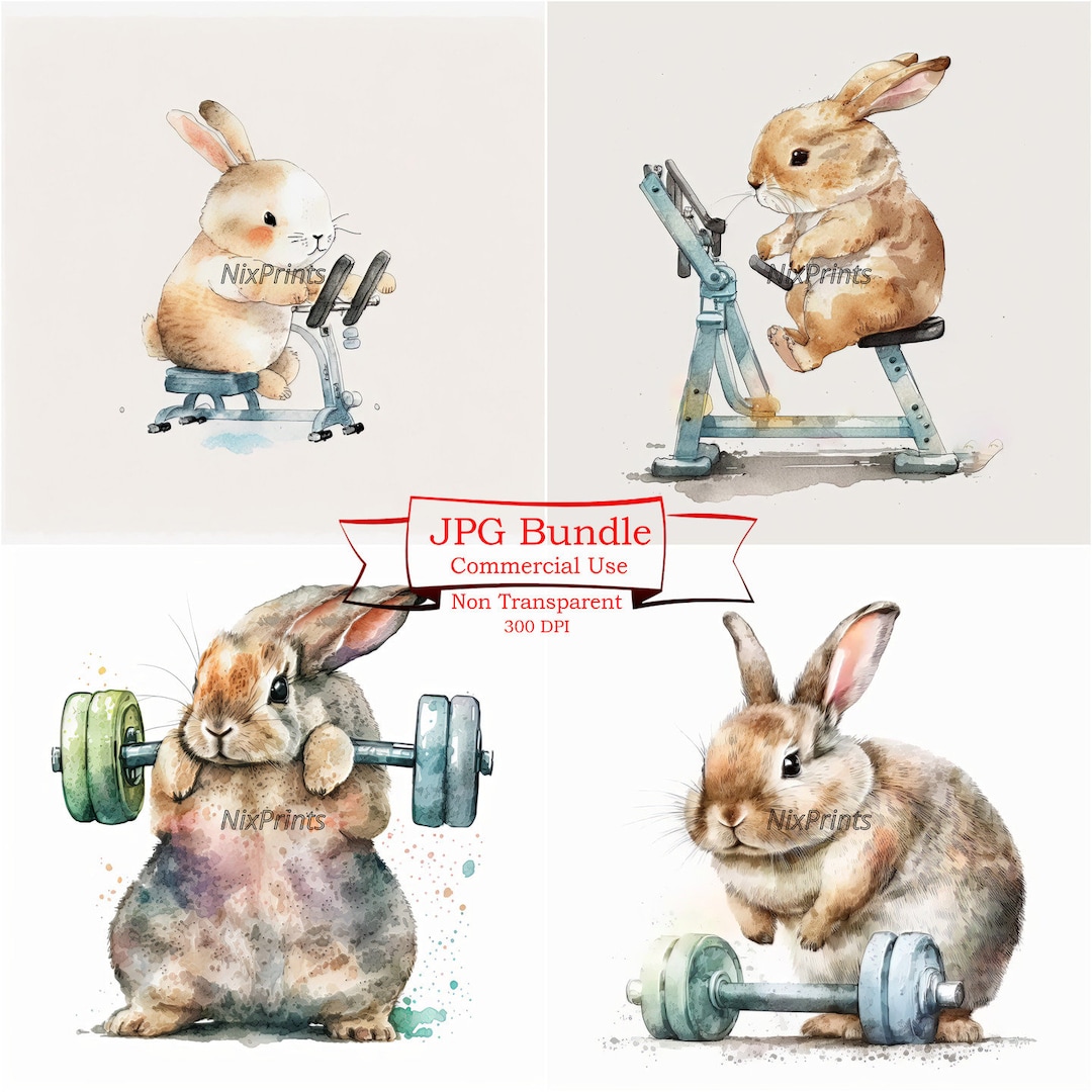 Bunny Gym, Sports & Sports Team Clipart - Energizing and Motivating ...
