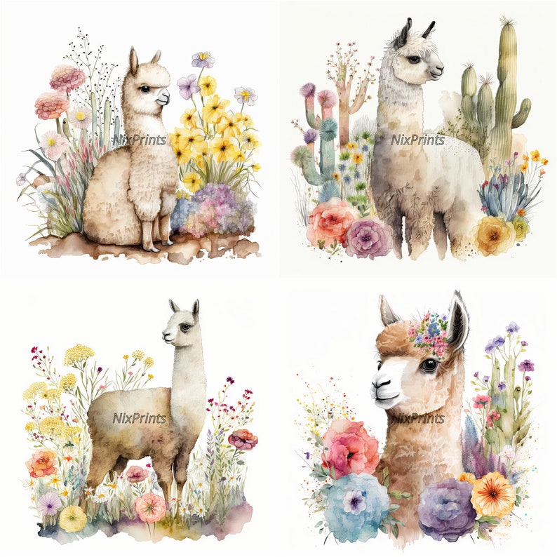 Baby Llama Cria Clipart Spring Flowers & Gardening Theme - Etsy