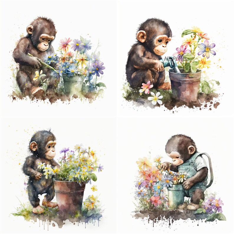 Chimpanzee Clipart Set of 10 Digital Images High Quality - Etsy
