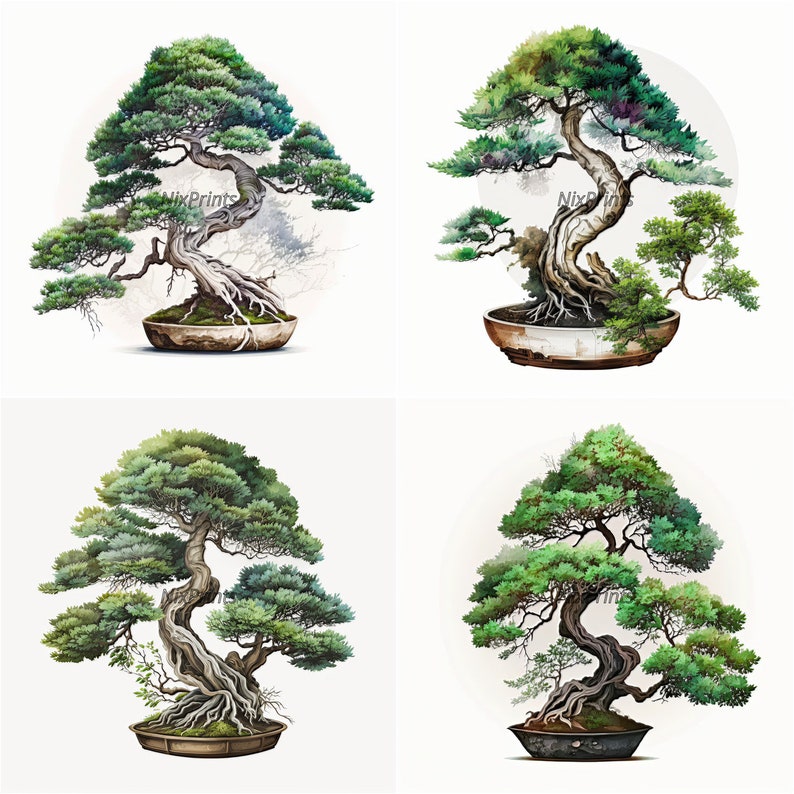 Bonsai Tree Clipart: Hand-painted Miniature Trees - Etsy