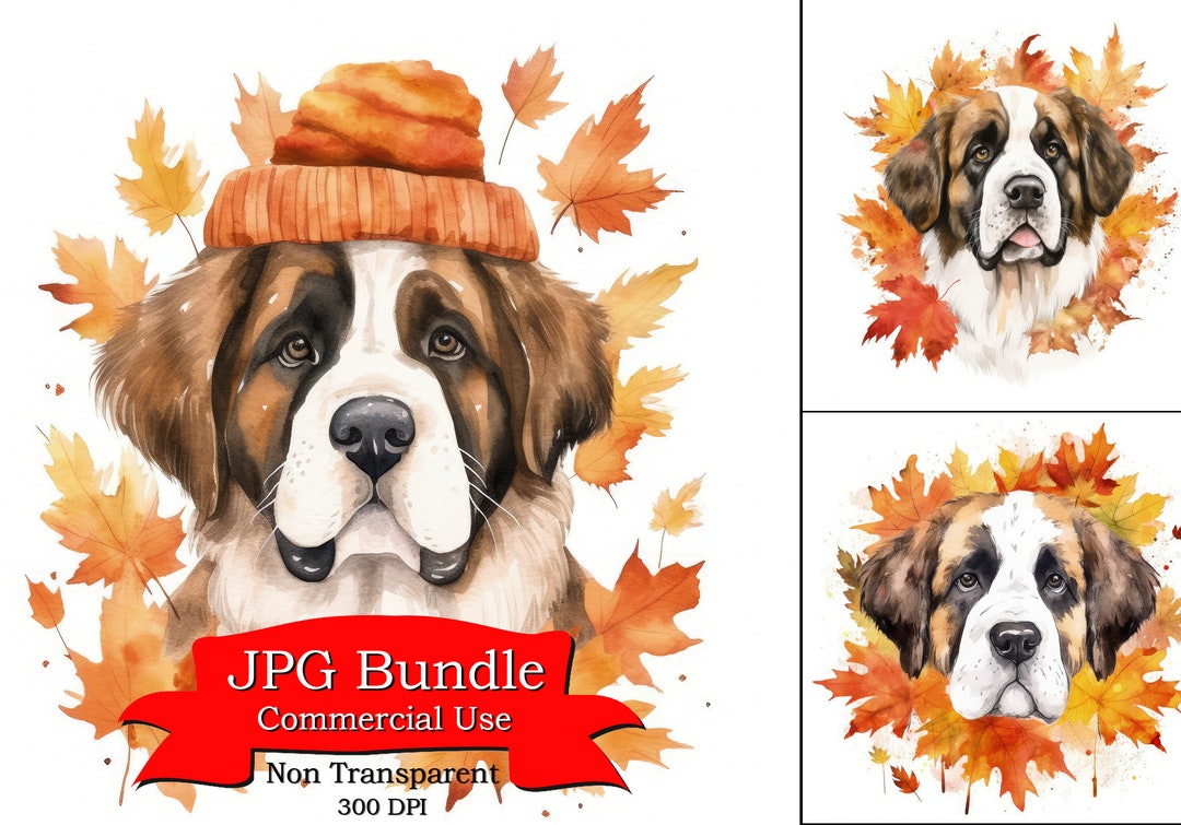 Cute Saint Bernard Fall Foliage Watercolor Clipart, Print for Men, Art ...
