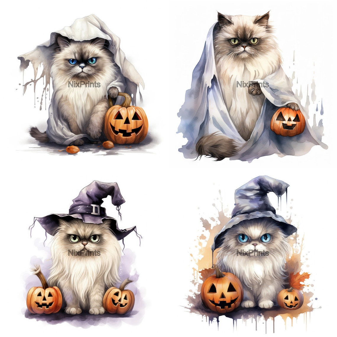 Cute Himalayan Cat Clipart, Spooky Halloween Costume, Ghost, Witch, and ...