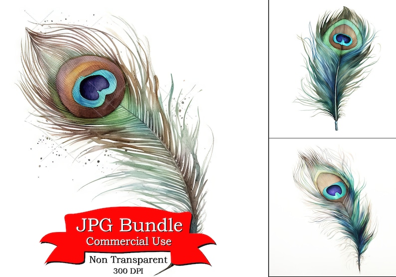 Detailed Peacock Feather Watercolor Clipart digital Paper - Etsy