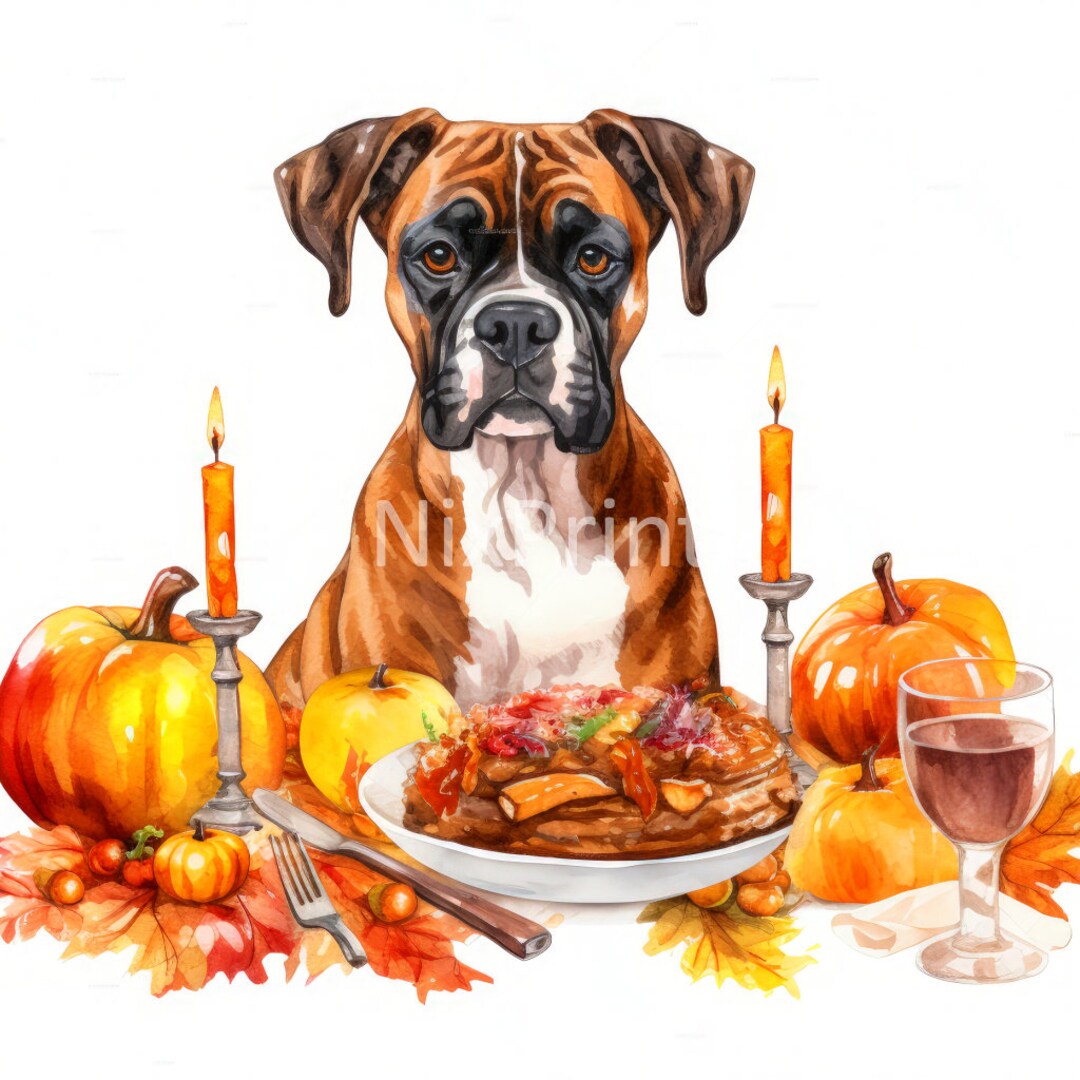 Cute Boxer Dog, Thanksgiving Themes, Family Dinner Scenes, Wall Art for ...