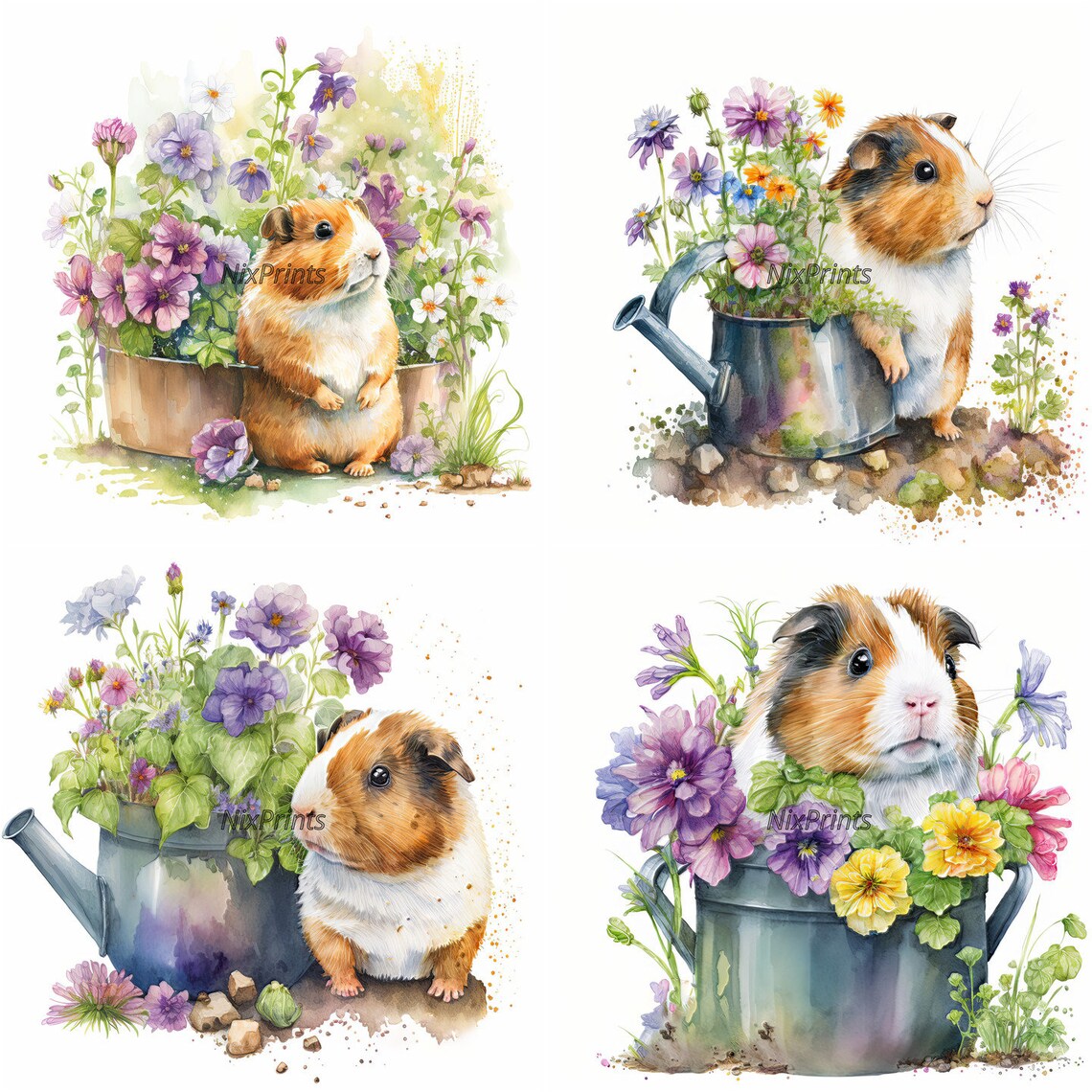 Baby Guinea Pig Clipart Set Digital Image Downloads 300 DPI - Etsy