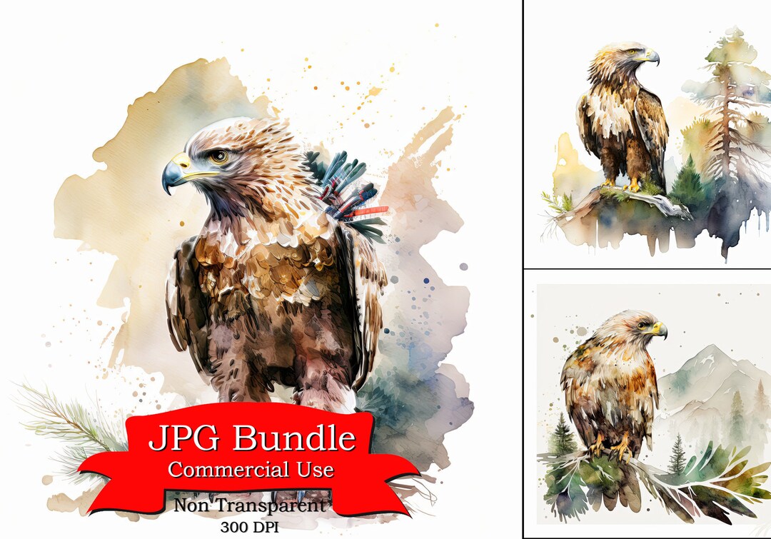 Majestic Eagle Wilderness Survival Clipart: Incredible Hunting Skills ...