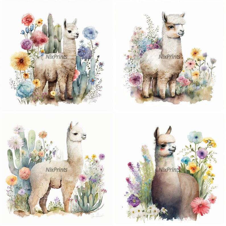 Baby Llama Cria Clipart Spring Flowers & Gardening Theme - Etsy