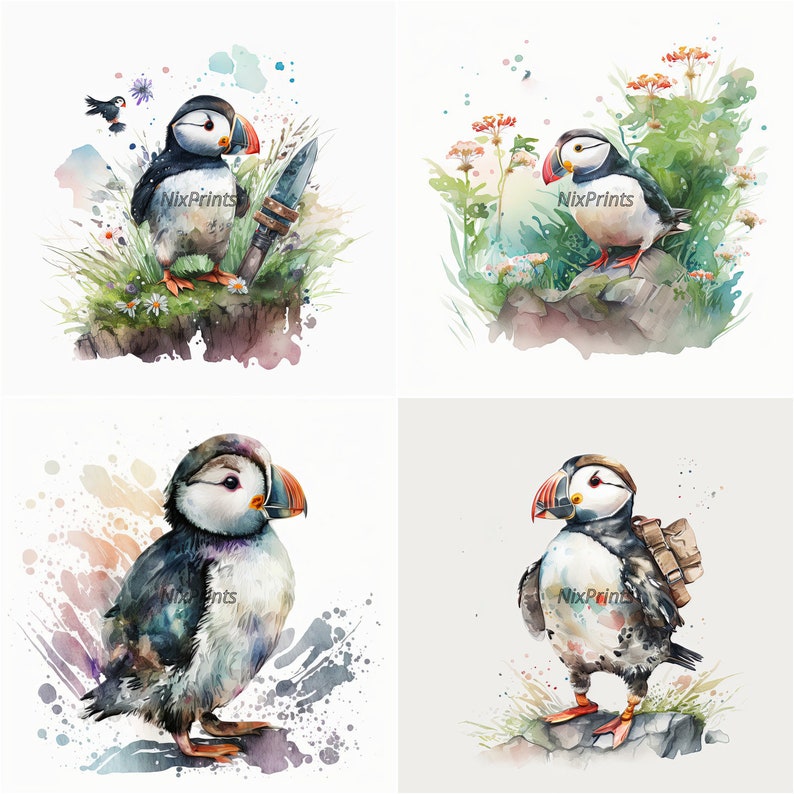 Puffin Sea Bird Wilderness Clipart Set: Colorful Seabirds - Etsy