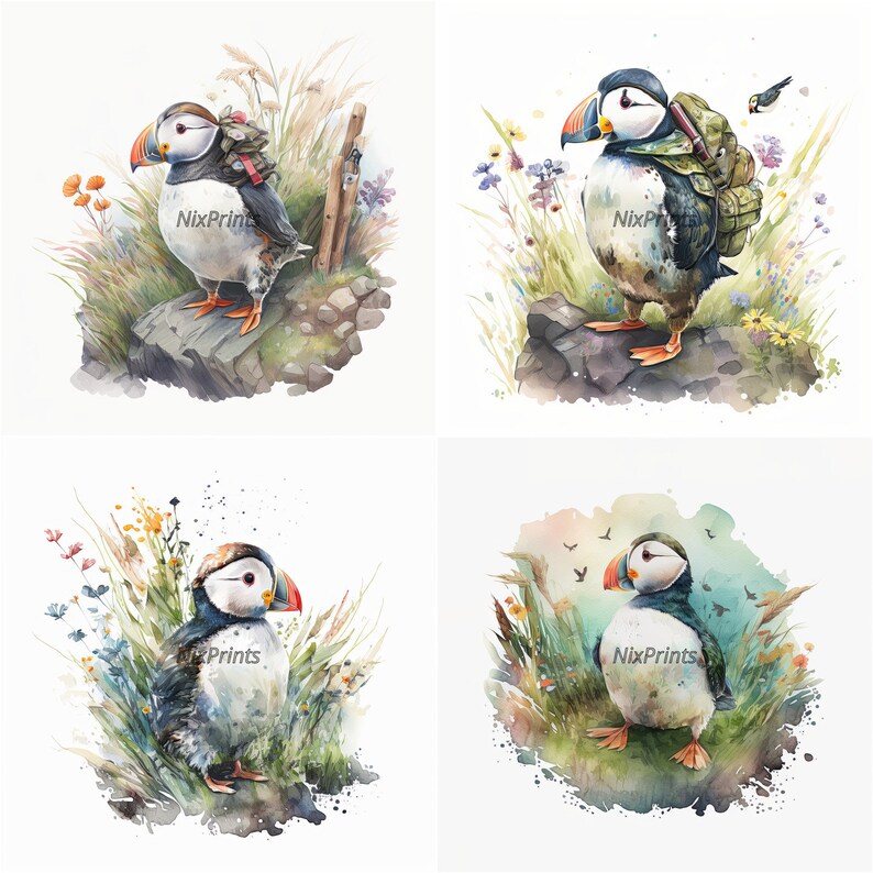 Puffin Sea Bird Wilderness Clipart Set: Colorful Seabirds - Etsy
