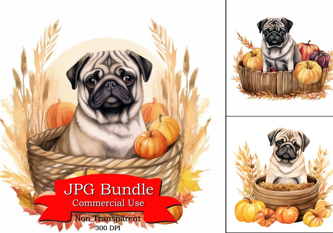 Cute Pug Dog Harvest Food Watercolor Clipart, Digital Sticker for ...