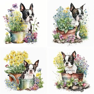 Boston Terrier Clipart, Spring Flowers & Gardening Theme, 300 DPI High ...