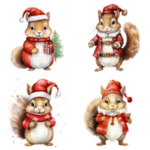 Cute Squirrel Clipart, in Santa Claus Dress, White Background Clipart ...