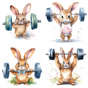 Rabbit Clipart, Gym Clipart, in a Gym Outfit, Lifting Weights, at a Gym ...