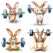 Rabbit Clipart, Gym Clipart, in a Gym Outfit, Lifting Weights, at a Gym ...