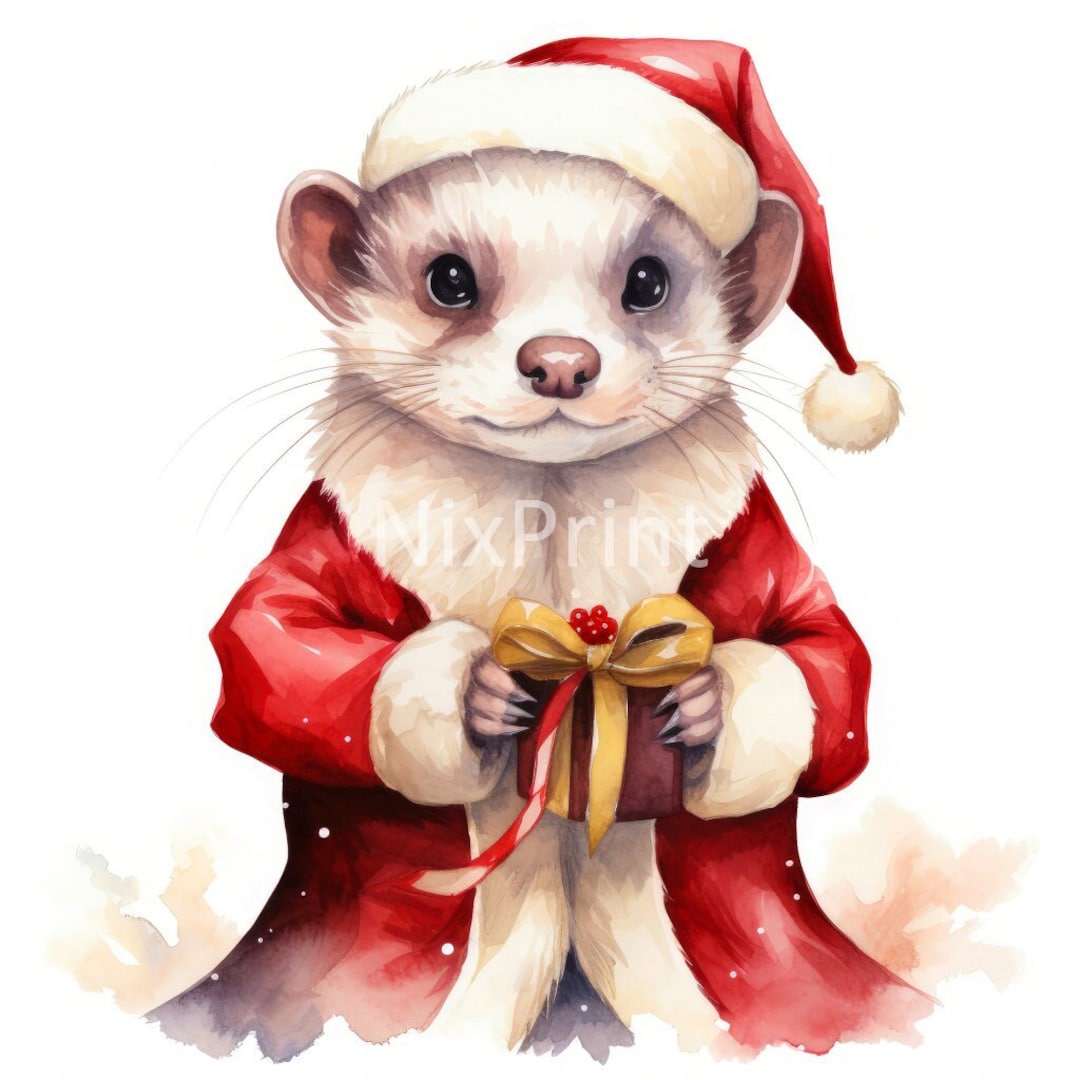 Ferret Clipart, Christmas Clipart, Santa Claus Dress, White Background ...