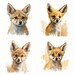 Adorable Clipart Baby Kioti Animal for Crafting ,high-resolution ,JPG ...