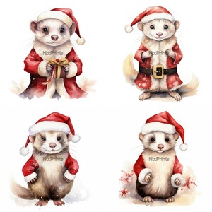 Ferret Clipart, Christmas Clipart, Santa Claus Dress, White Background ...