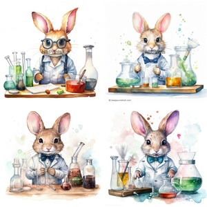 Rabbit Clipart, Scientist Clipart, in a Scientist's Lab Coat ...