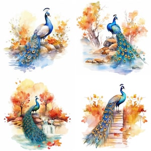Peacock Autumn River Clipart, Bird Clipart, Watercolor for Invites ...