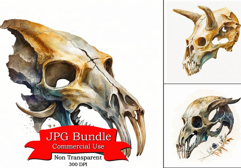 Animal Skull Clipart Set: Unique Collection Realistic - Etsy
