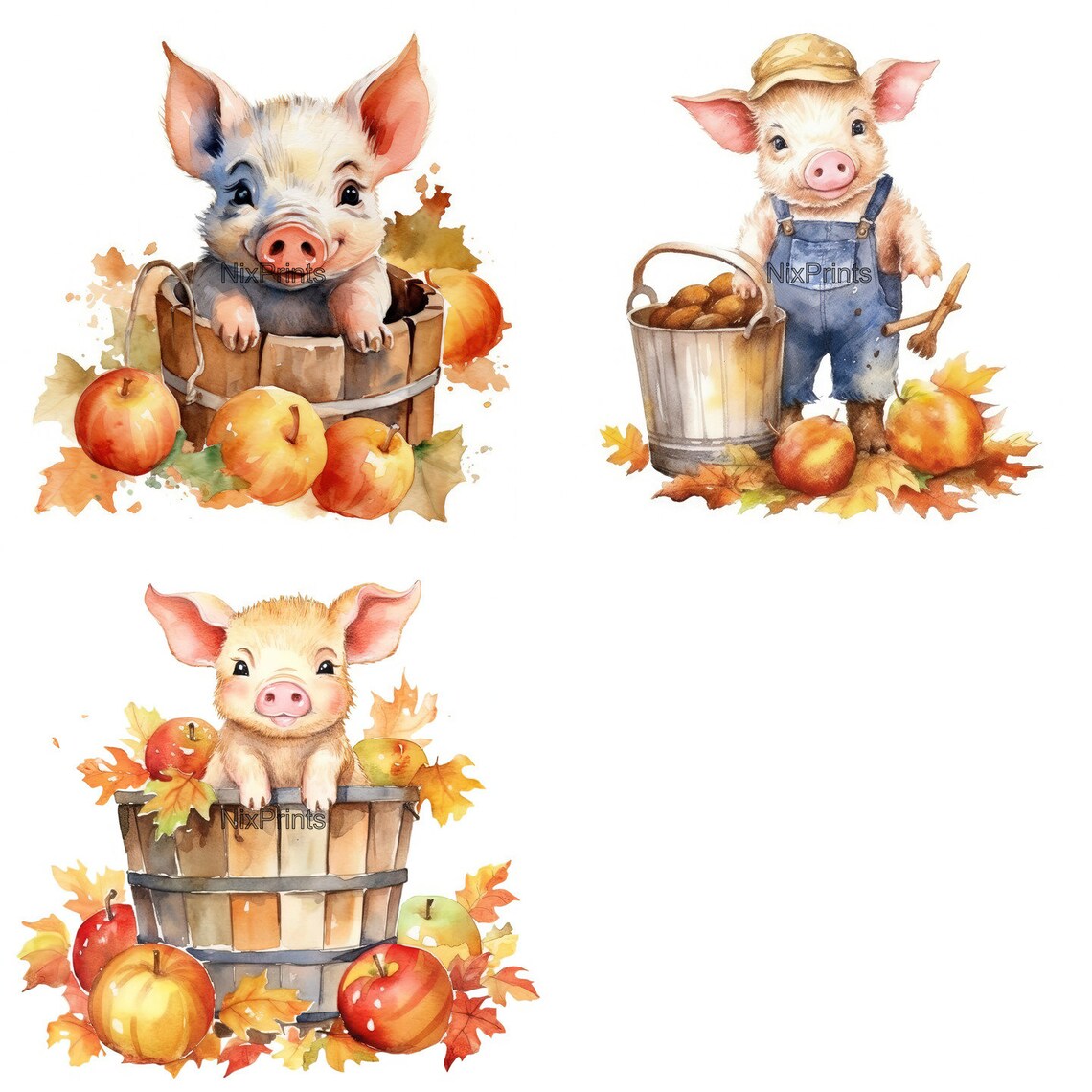 Pig Harvest Food Clipart, Picture for Dorms, Watercolor for Beginners ...