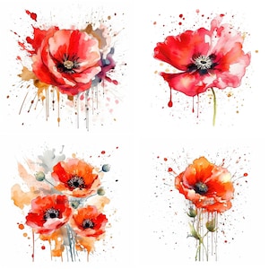 Poppy Paint Splash Watercolor Digital Clipart Digital Paper Crafting ...