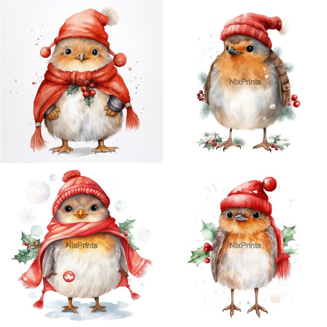Robin Bird Clipart, Christmas Clipart, in a Santa Claus Dress, White ...