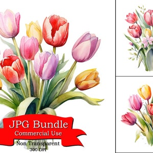 Tulip Flower Bouquet Clipart, Watercolor Art, Digital Paper Crafting ...