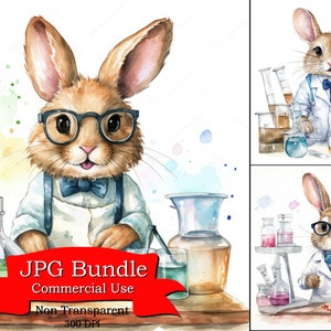 Rabbit Clipart, Scientist Clipart, in a Scientist's Lab Coat ...