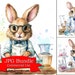 Rabbit Clipart, Scientist Clipart, in a Scientist's Lab Coat ...