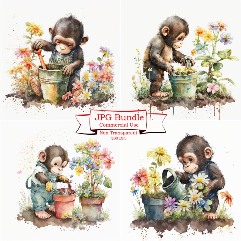 Chimpanzee Clipart Set of 10 Digital Images High Quality - Etsy