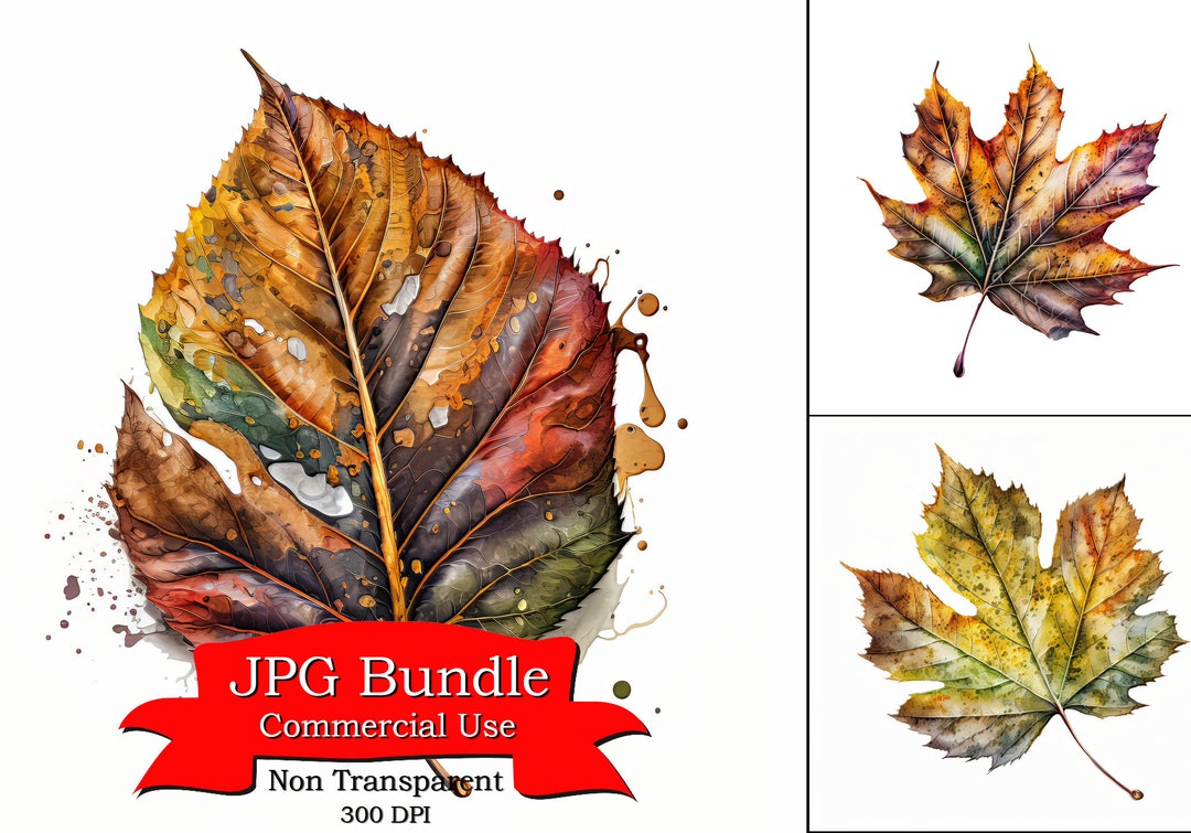 Autumn Leaf Clipart: Watercolor Fall Foliage Clipart, Non-transparent ...