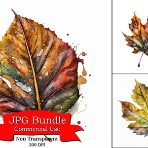 Autumn Leaf Clipart: Watercolor Fall Foliage Clipart, Non-transparent ...