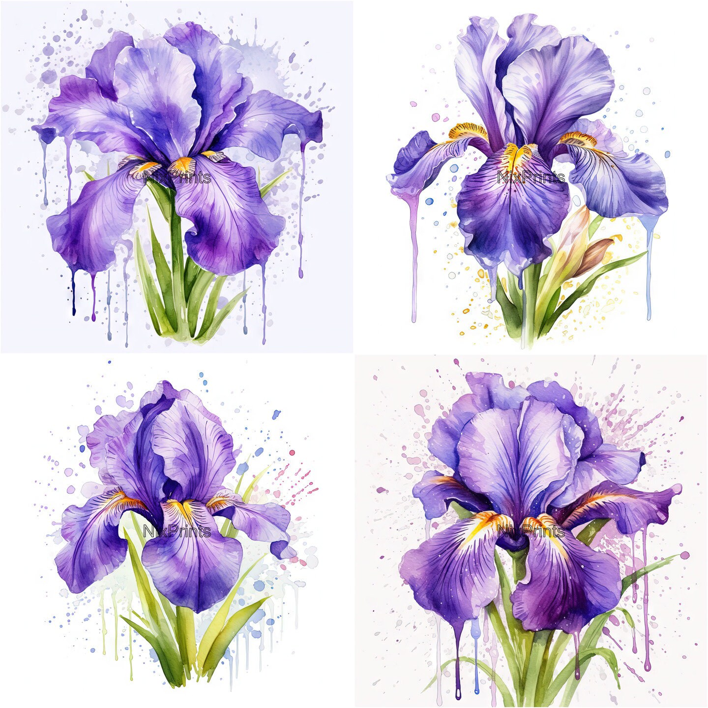 Iris Paint Splash Watercolor Digital Clipart Digital Paper - Etsy