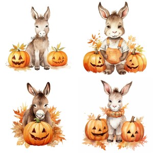 Cute Donkey Pumpkin Patch Watercolor Clipart, Halloween, Designs for A ...