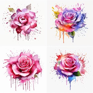 Rose Paint Splash Watercolor Digital Clipart Digital Paper Crafting ...