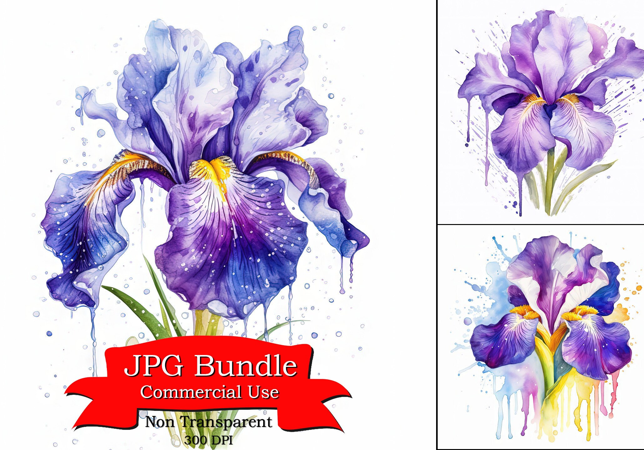 Iris Paint Splash Watercolor Digital Clipart Digital Paper - Etsy
