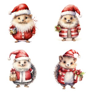 Cute Hedgehog Clipart, Santa Claus Dress, White Background, Watercolor ...