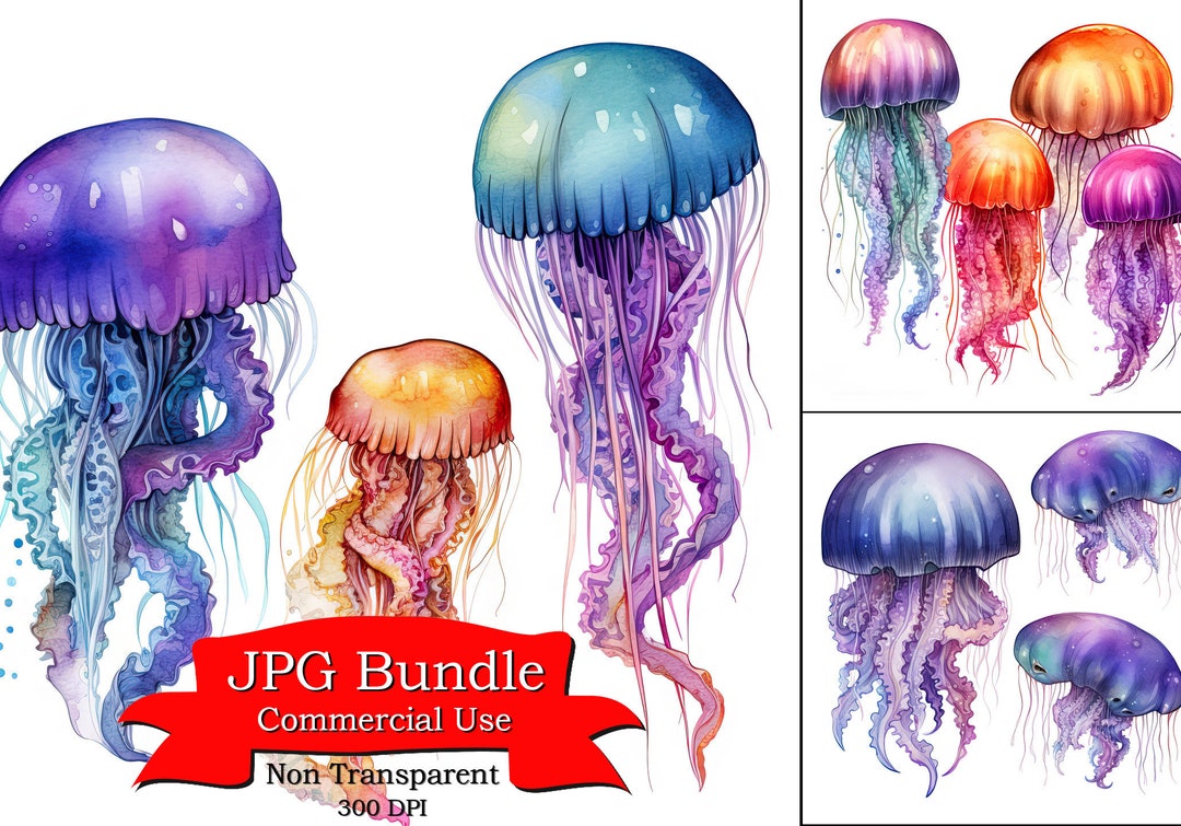 Watercolor Jellyfish Digital Clipart ,digital Paper Crafting, Digital ...
