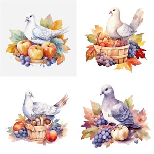 Cute Dove Harvest Food Fall Season Watercolor Clipart, Digital Sticker ...