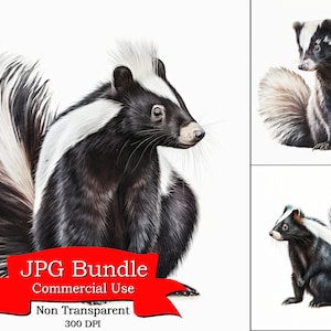 Skunk Watercolor Clipart, Cute Forest Animal Art, Digital Download, Non ...