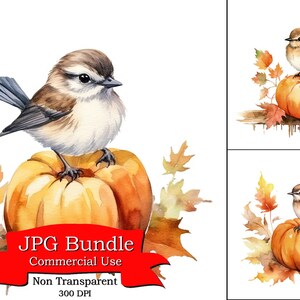 Cute Sparrow Pumpkin Patch Watercolor Clipart, Halloween, Print for Sublimation, Digital Sticker ...