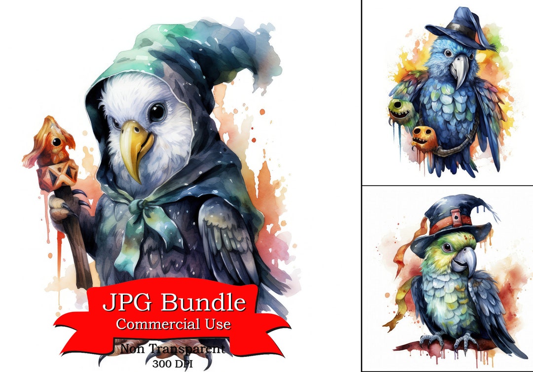 Parrot Clipart, Halloween Clipart, Spooky Halloween Costume, Ghost ...