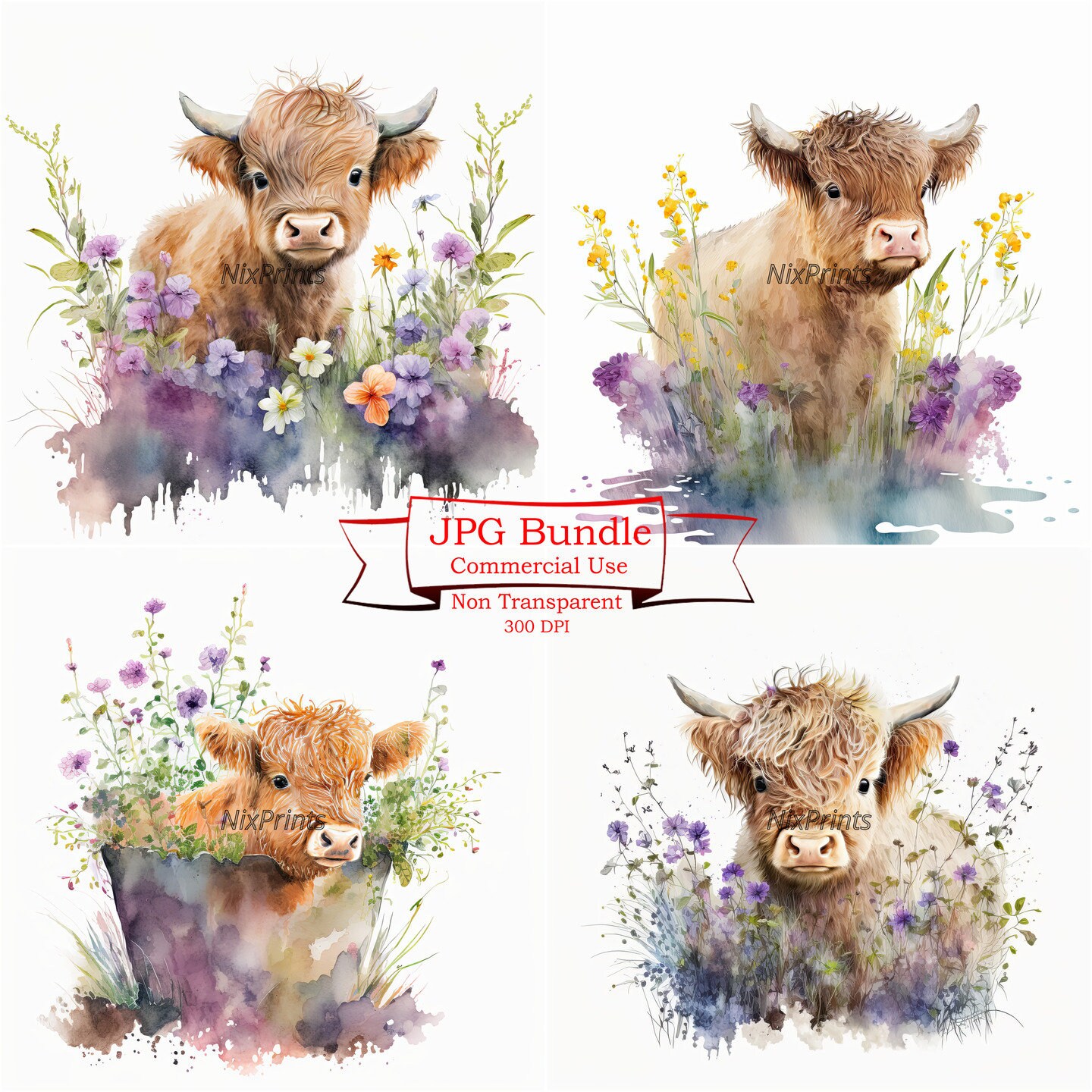 Baby Highland Cow Clipart Digital Image Downloads - Etsy