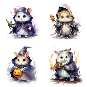 Cute Hamster Clipart, Spooky Halloween Costume, Ghost, Witch, and ...