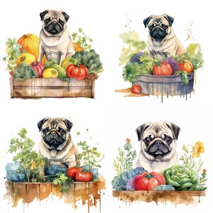 Cute Pug Dog Vegetable Garden Watercolor Clipart, Wall Art for Nursery ...