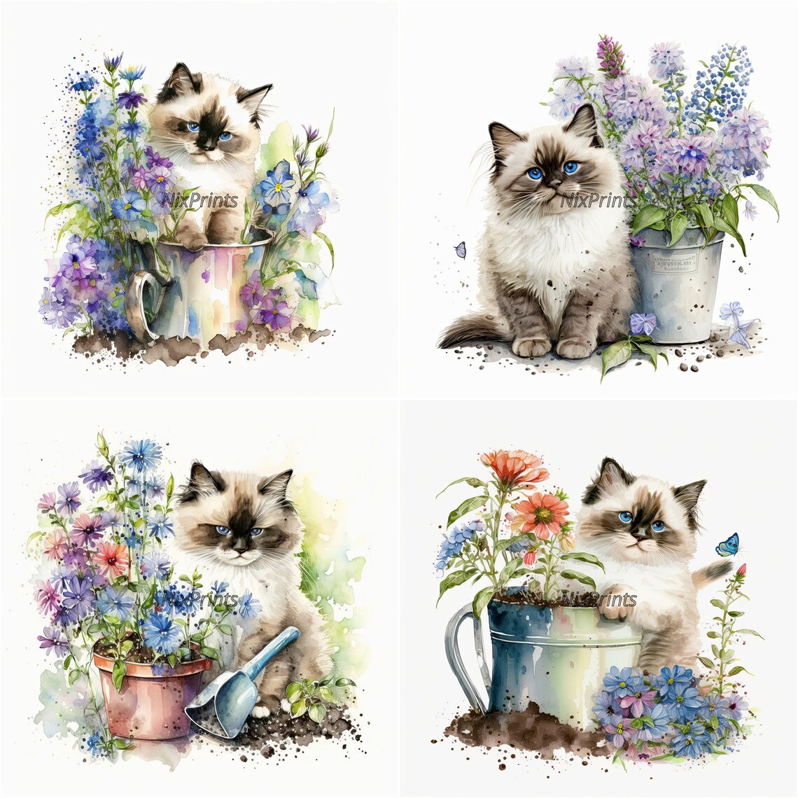 Ragdoll Cat Clipart and Spring Flowers Digital Images for - Etsy