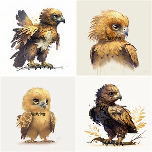 Digital Clipart Bundle of Baby Eagle Pictures | High Resolution ...