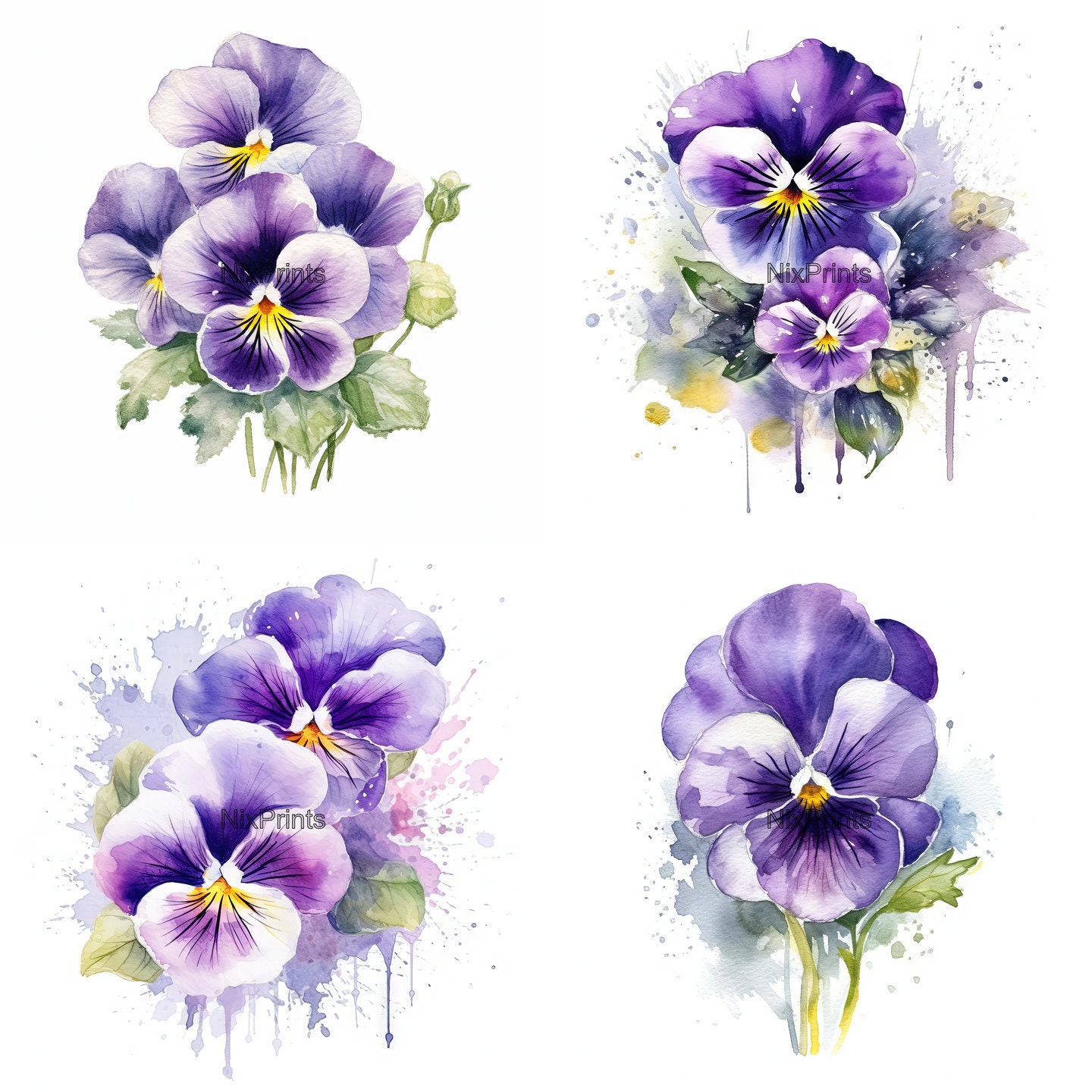Viola Flower Paint Splash Clipart, Watercolor Art, Digital Paper ...